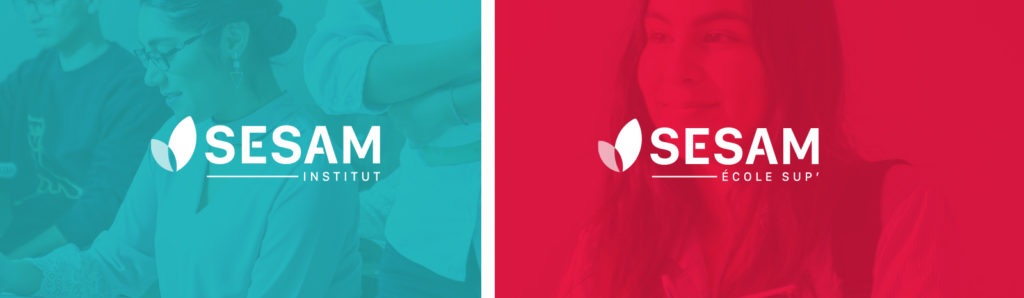 École Sup' SESAM - Moderniser son image - Vingt Mille Lieues